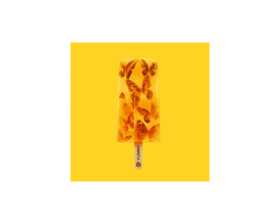 the official JAMES website